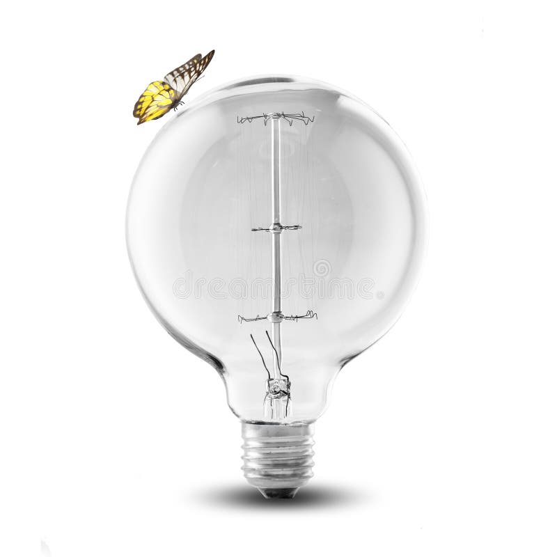 Light Bulb with butterfly stock image. Image of isolated - 48597419