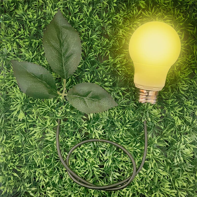 Light Bulb Connected To Green Source Ecofriendly Energy Concept Stock ...
