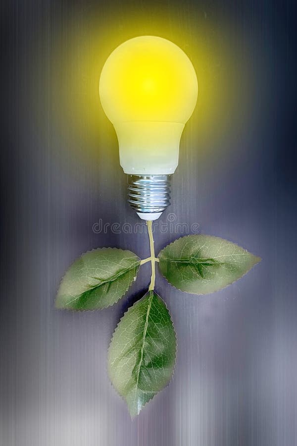 Light Bulb Connected To Green Source Ecofriendly Energy Concept Stock ...