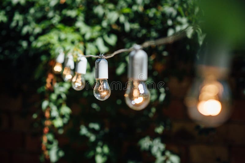 Light Bulb Decor in Outdoor Party. Party Stock Photo - Image of ...