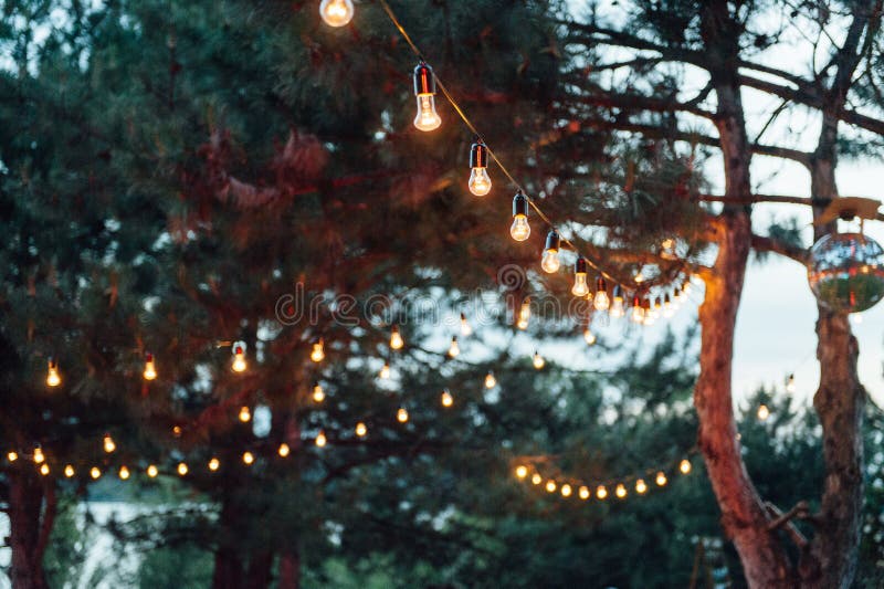 Light Bulb Decor in Outdoor Party, Wedding Party Stock Image - Image of ...
