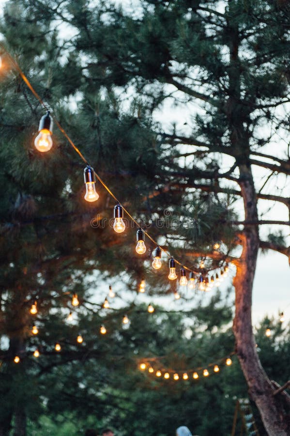 Light Bulb Decor in Outdoor Party, Wedding Party Stock Photo - Image of ...