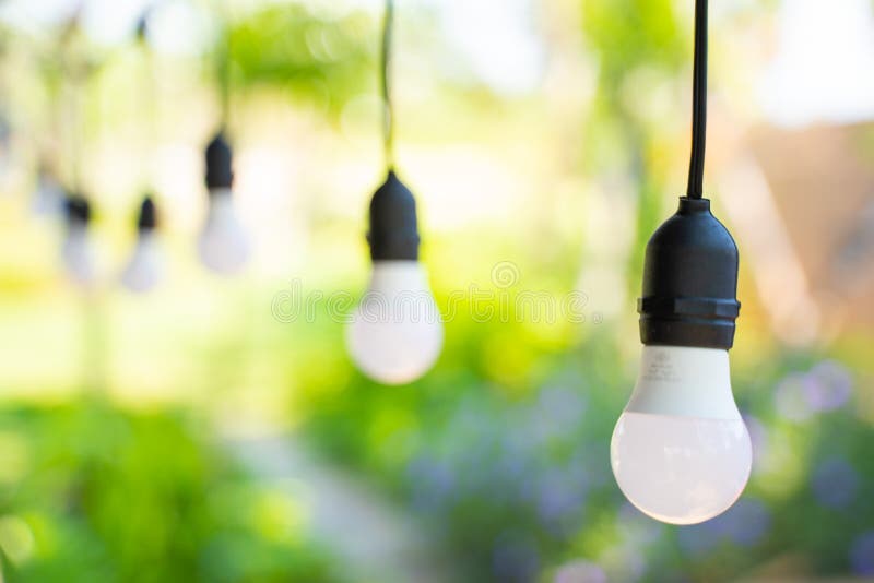 Light Bulb for Decorate Home Stock Photo - Image of event, garden ...