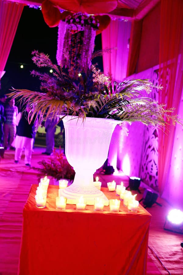 Light bulb decoration stock image. Image of garden, night - 120059875