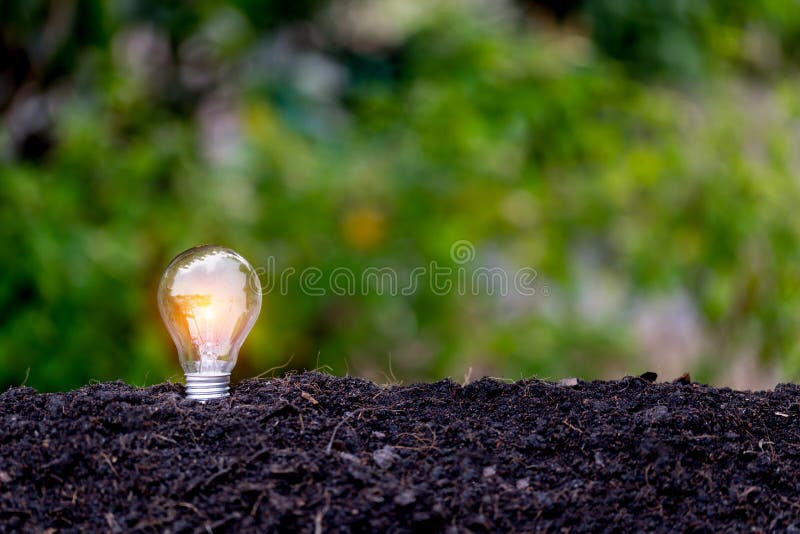 Light Bulb,energy Sources for Renewable,natural Energy Stock Image ...