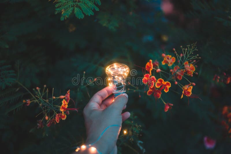 Light bulb Fantasy stock image. Image of idea, energy - 129207911