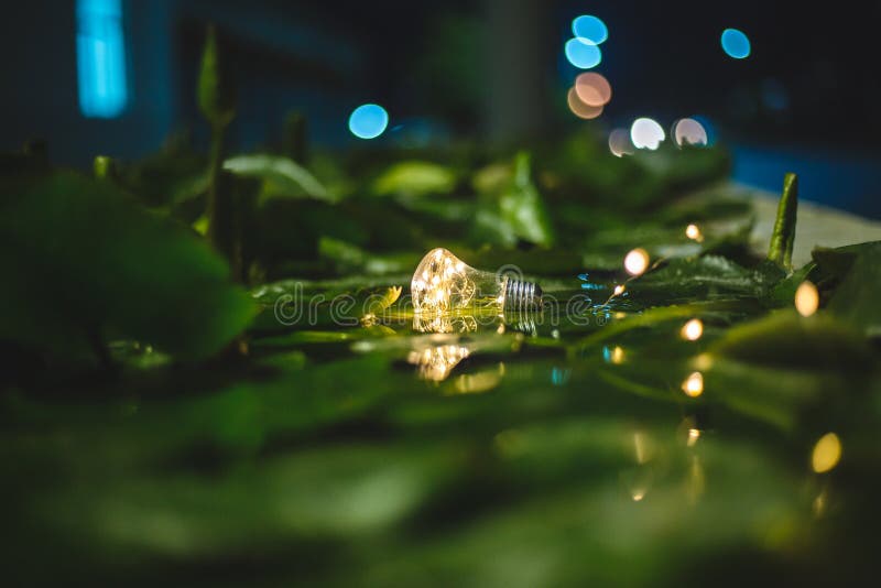 Light bulb Fantasy stock photo. Image of bulb, luxury - 129207442