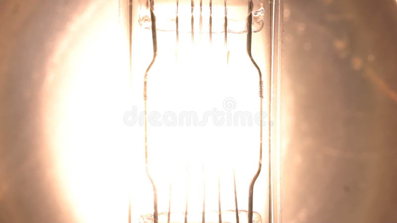 Flashing Lightbulb in the Web in the Old Basement of the House Stock ...