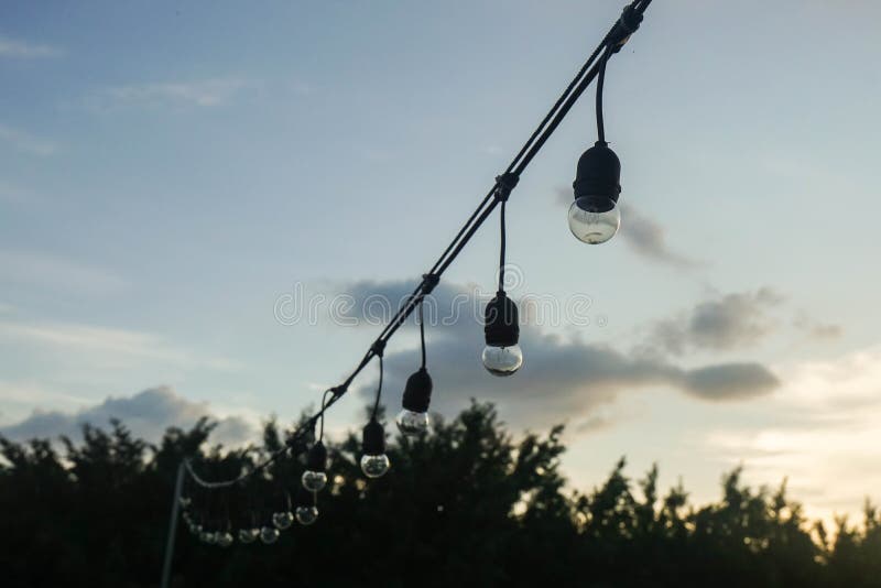 Light Bulb in the Garden in the Sunset for Lighting Stock Photo - Image ...