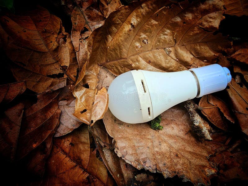 A Light Bulb Glows at Night on a Pile of Dry Leaves Stock Photo - Image ...
