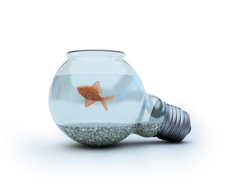 Gold Fish Inside an Electric Bulb Stock Image - Image of goldfish, fuel ...