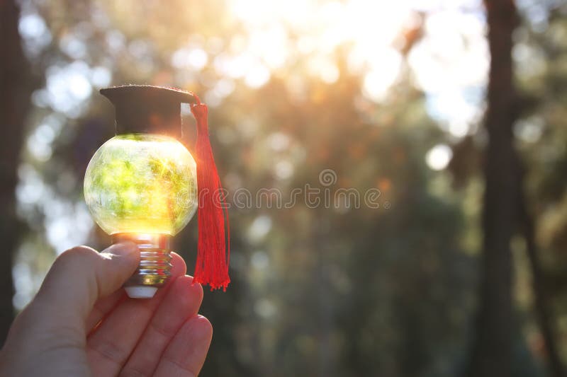 Light Bulb and Graduation Cap Nature. Idea of Education, Technology ...