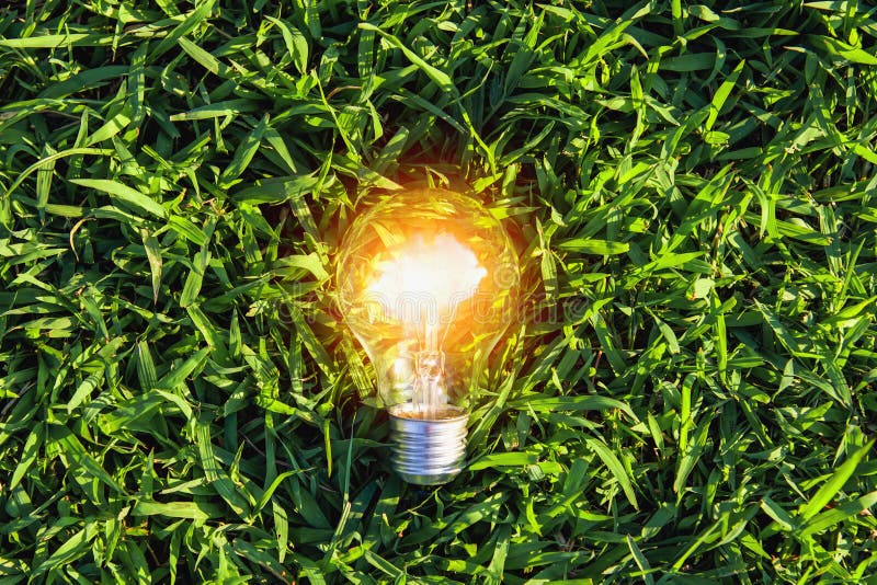 Light Bulb on Grass with Solar Energy. Power Eco Stock Photo - Image of ...