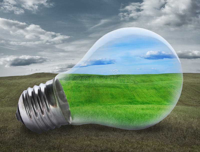Light Bulb with Green Field Stock Image - Image of concept, plant: 55084887