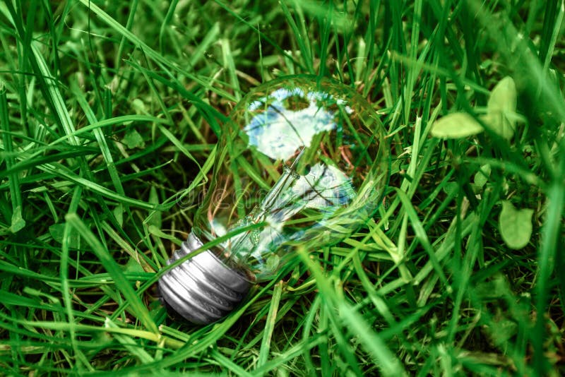 Light bulb in green grass stock image. Image of healthy - 151283757