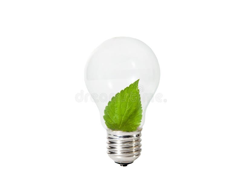 Light Bulb with Green Leaf Inside Stock Image - Image of lightbulb ...