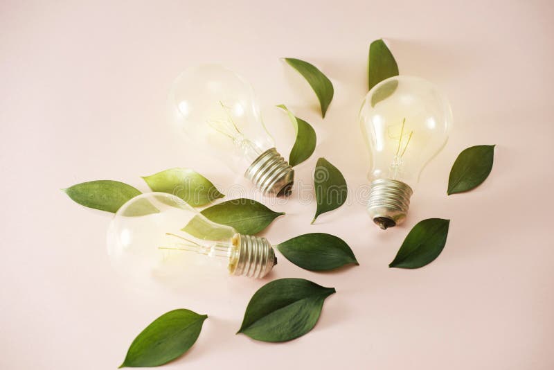 Light Bulb with Green Leaves Stock Image - Image of glowing, bright ...