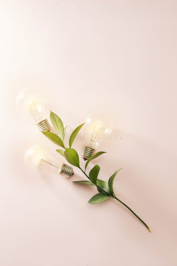 Light Bulb with Green Leaves Stock Image - Image of power, white: 150568143