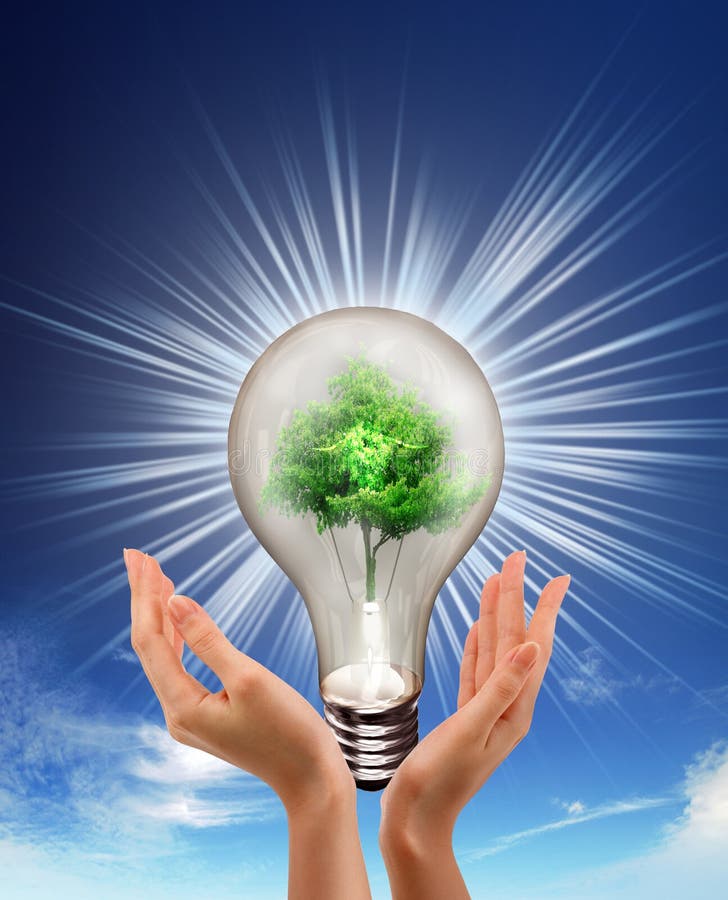 Light bulb stock photo. Image of bonding, ecology, nature - 44612100