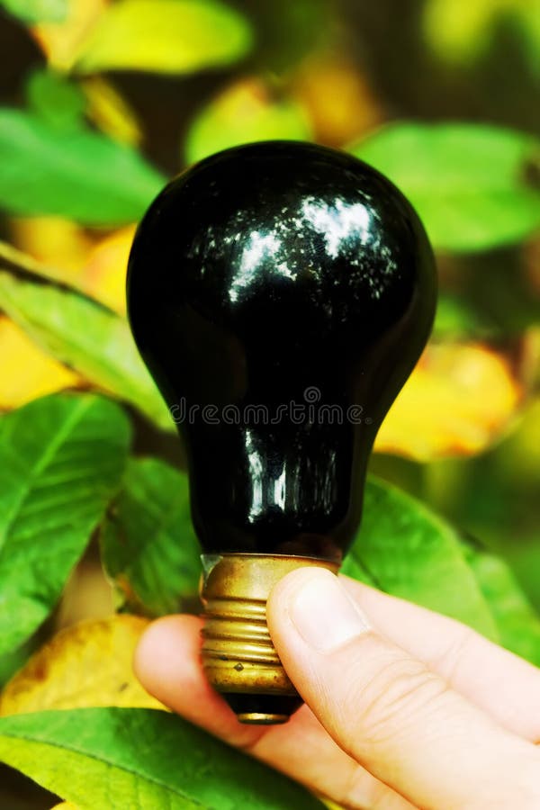 Light bulb held in palm stock photo. Image of hold, idea - 26853348