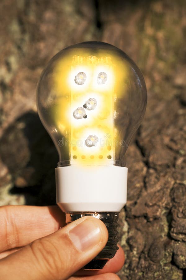 Light bulb held in palm stock image. Image of glowing - 36154915
