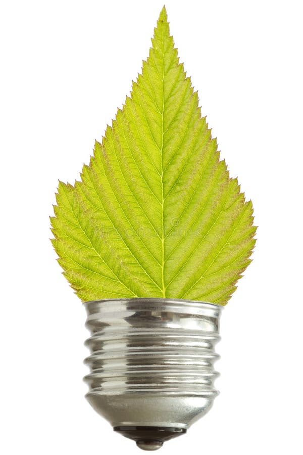 Light bulb with leaf stock image. Image of electricity - 25544981