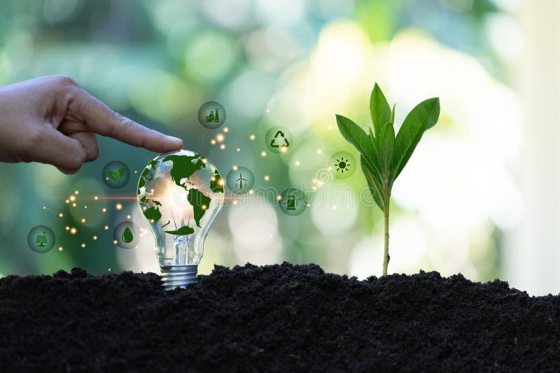Light Bulb is Located on the Soil and Plant are Growing with Growth ...