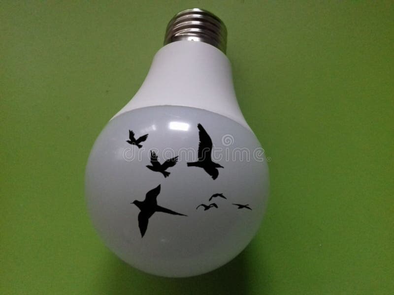 Light Bulb with the Motif of Flying Birds Stock Image - Image of white ...