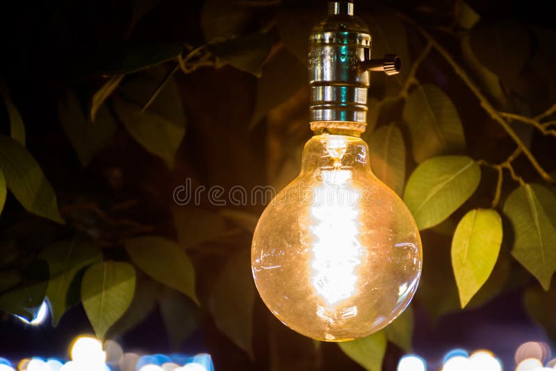 Light bulb at night stock photo. Image of energy, isolated - 81033256