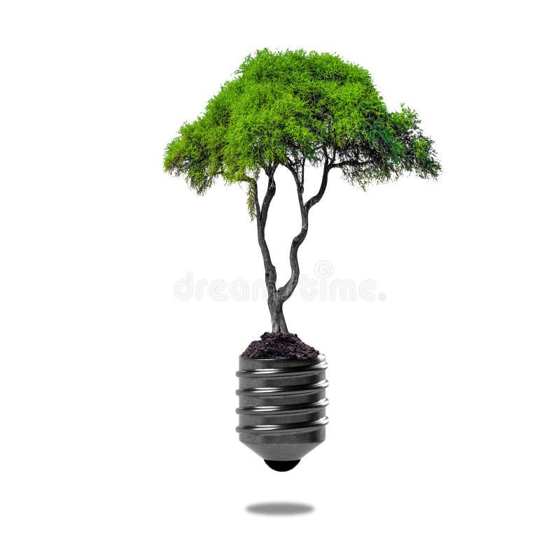 Light Bulb Photos with Trees Inside Stock Photo - Image of concepts ...