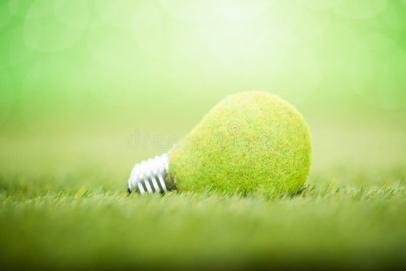 Light Bulb Placed on Grass stock photo. Image of grass - 213854000