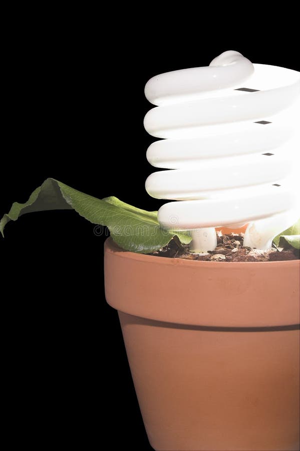 Light Bulb Potted Plant stock photo. Image of balanced - 3098916