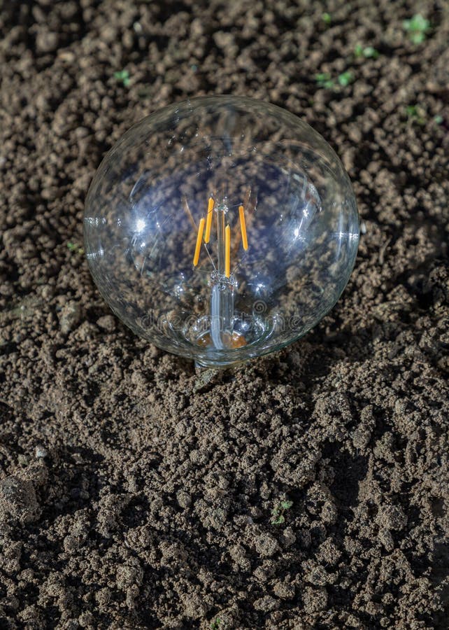 Light Bulb Put on the Soil and Sunlight in Nature Background Stock ...