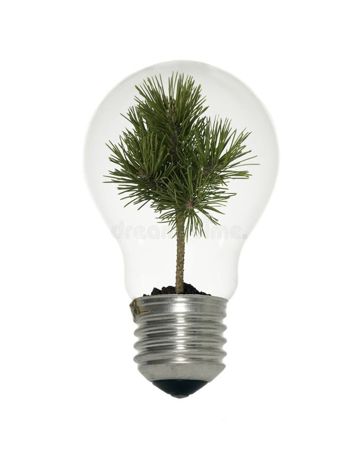 30,718 Light Bulb Tree Stock Photos - Free & Royalty-Free Stock Photos ...