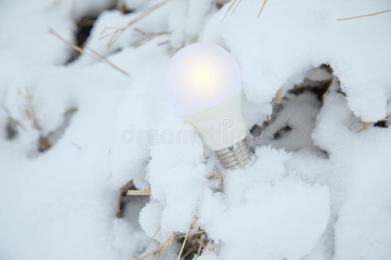 Light Bulb on Snow at Winter Stock Photo - Image of snow, bright: 306505258