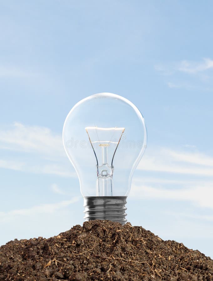 Light bulb stock photo. Image of environment, abstract - 6562876