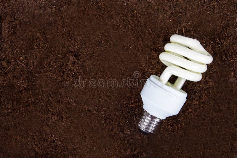 Light Bulb on Soil stock photo. Image of life, macro - 34840338