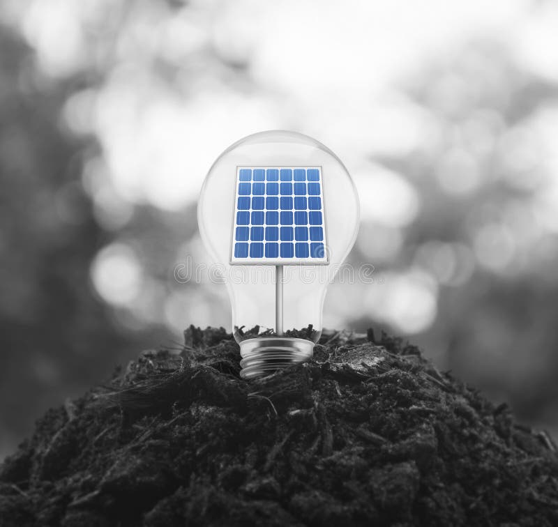Light Bulb with Solar Cell Inside on Pile of Soil Over Blur Tree Stock ...