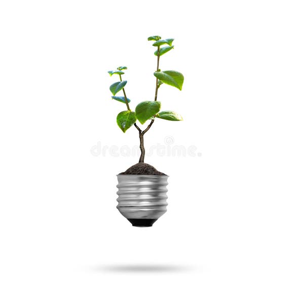 Light Bulb with sprout stock image. Image of ecology - 25559209