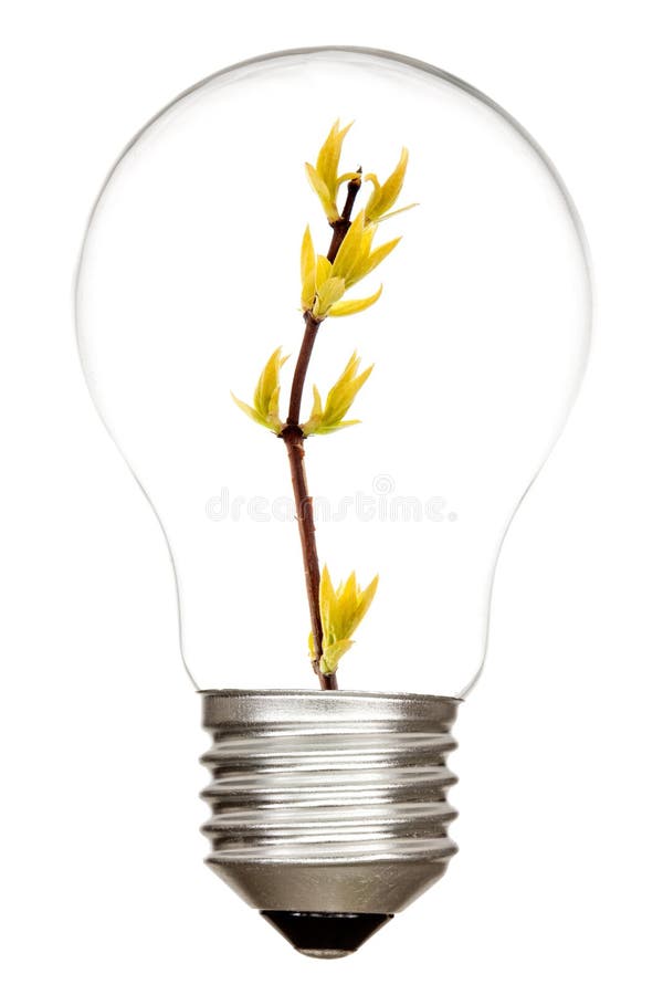Sprout inside a light bulb stock image. Image of white - 281679519