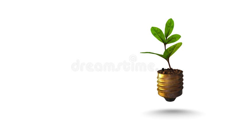 Light Bulb With Sprout. Mixed Media Stock Image - Image of green ...
