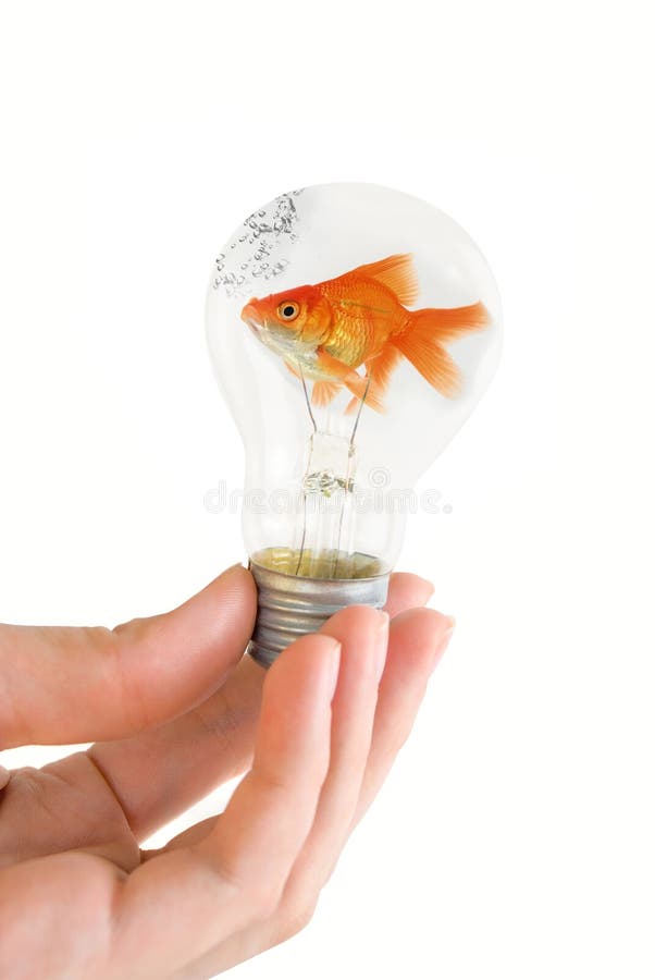 Fish in the bulb stock photo. Image of home, imagination - 8249820