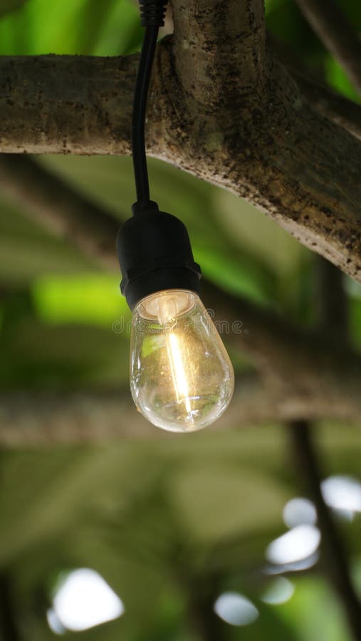 A Light Bulb on Tree with a Bright, Electric Glow Stock Image - Image ...