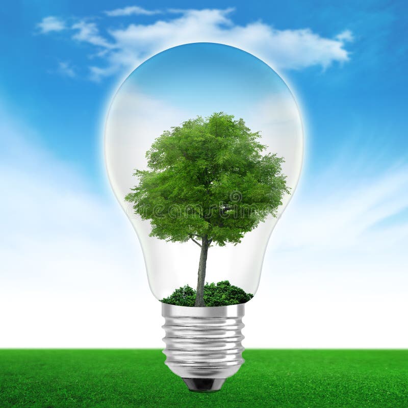Light bulb with tree stock image. Image of nature, tree - 53500897