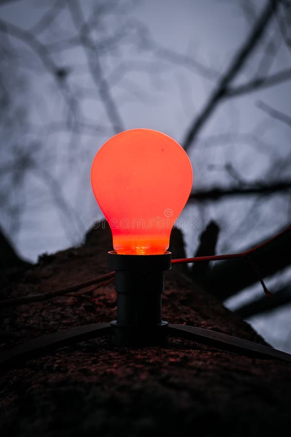 Light bulb on tree stock photo. Image of color, light - 84236836