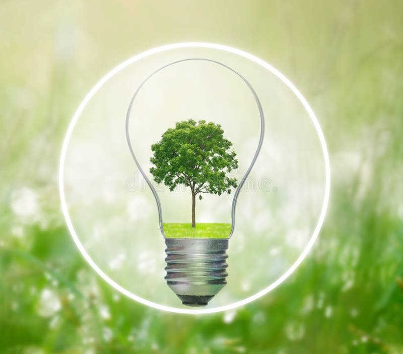 Light Bulb with Tree Growing Inside Stock Image - Image of lamp, light ...