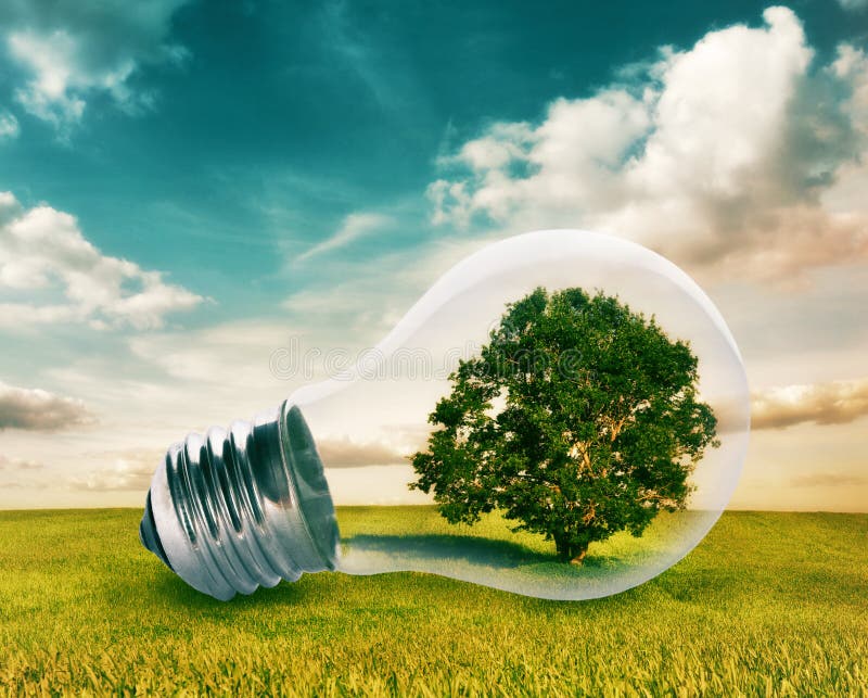 Light Bulb with a Tree Inside Stock Photo - Image of electricity, green ...