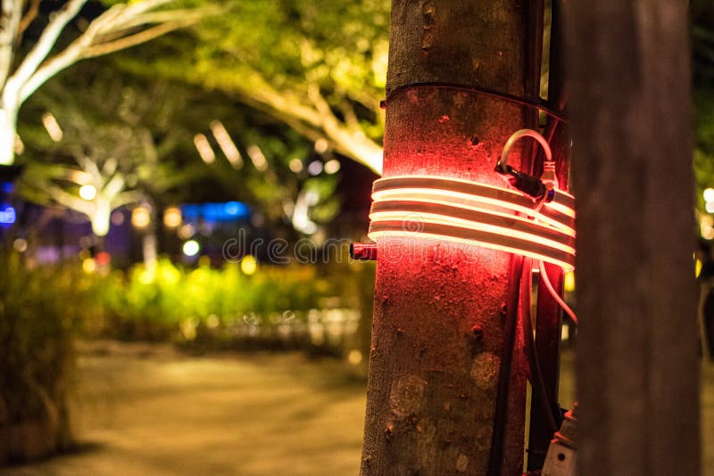 The Light Bulb is Wrapped Around a Beautiful Tree. Stock Photo - Image ...
