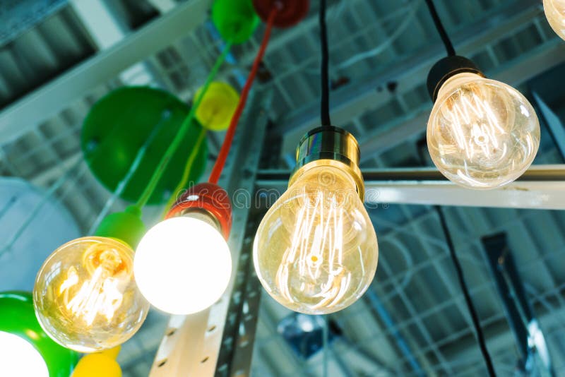 Light Bulbs of Different Types are Hanging in an Electrical Store Stock ...