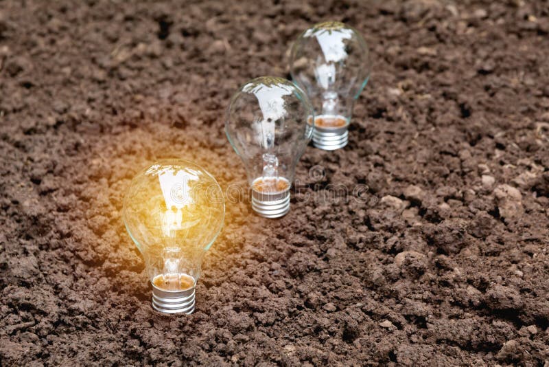 Light Bulbs with Glowing on Ground. Idea, Creativity and Saving Stock ...